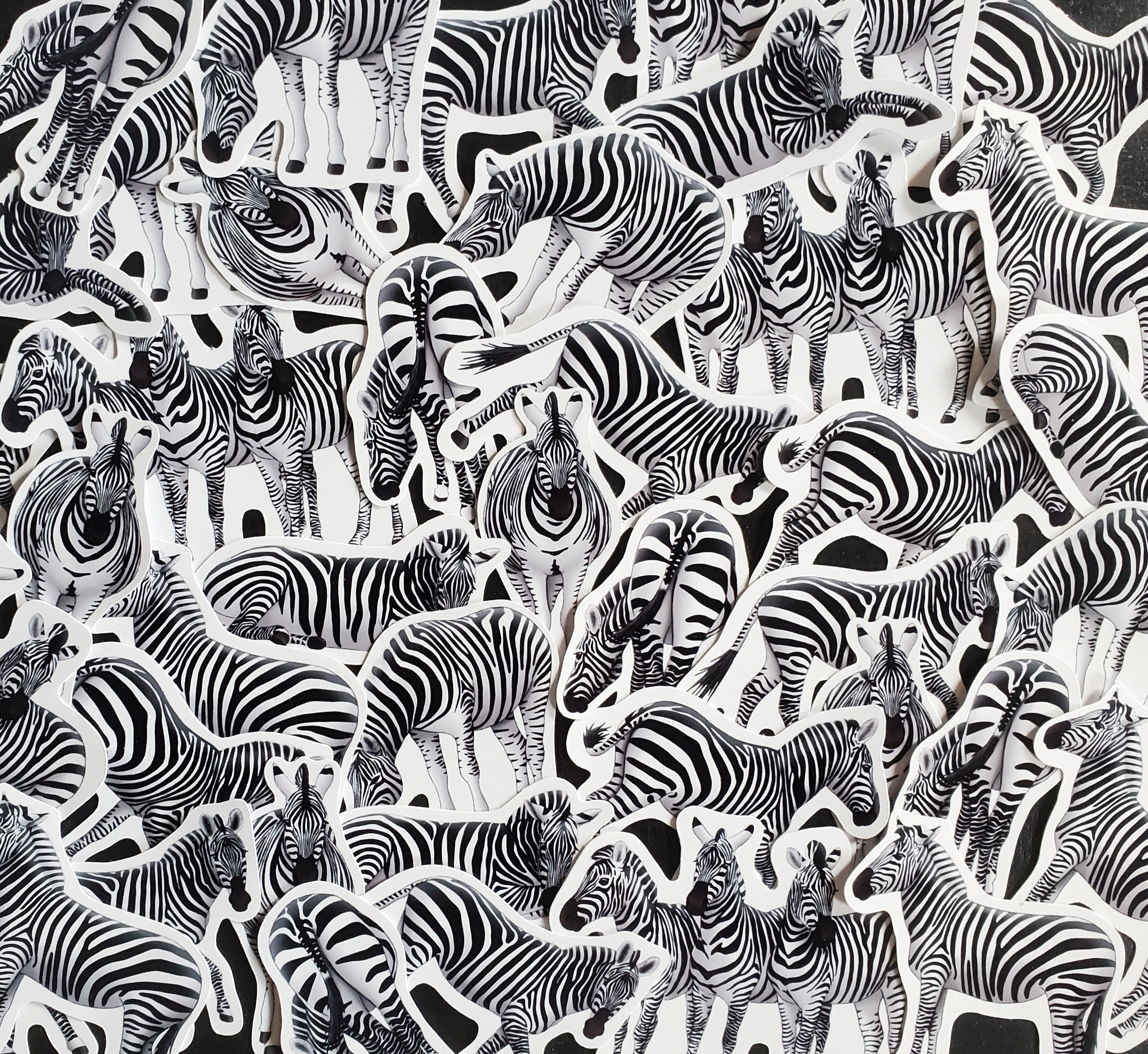 Zebra Sticker Pack Safari Animal Decals Waterproof Vinyl Zebra - Etsy