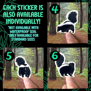 Skunk Sticker Set Forest Animal Decals Cute Critter Vinyl Stickers ...