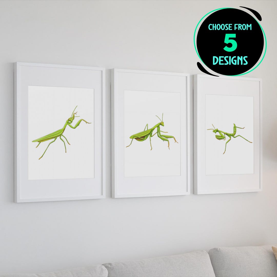 Praying Mantis Art Print Set Insect Illustration Wall Art Decor ...