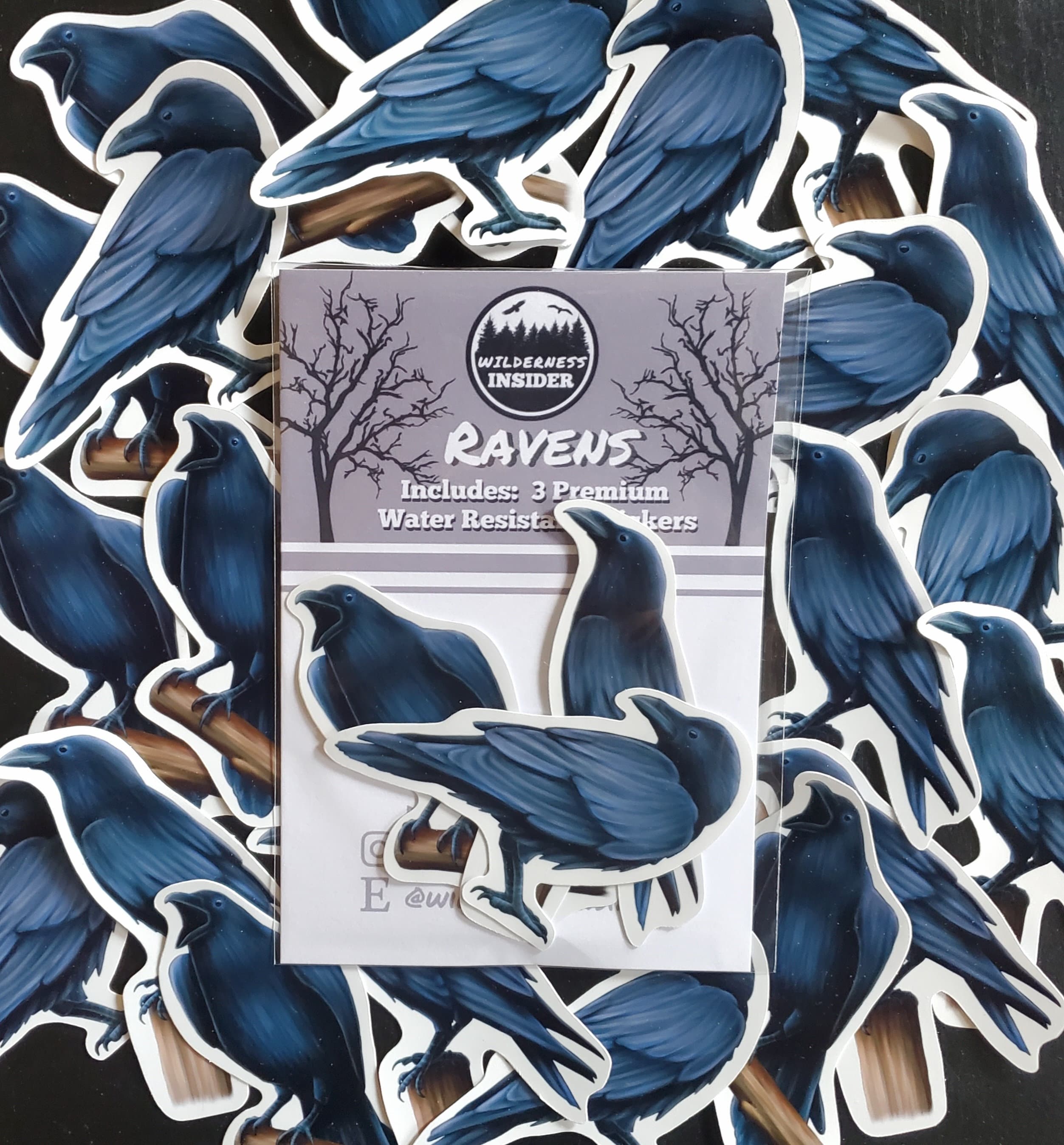 Raven Sticker Pack Gothic Bird Waterproof Vinyl Decal Crow Stationery ...