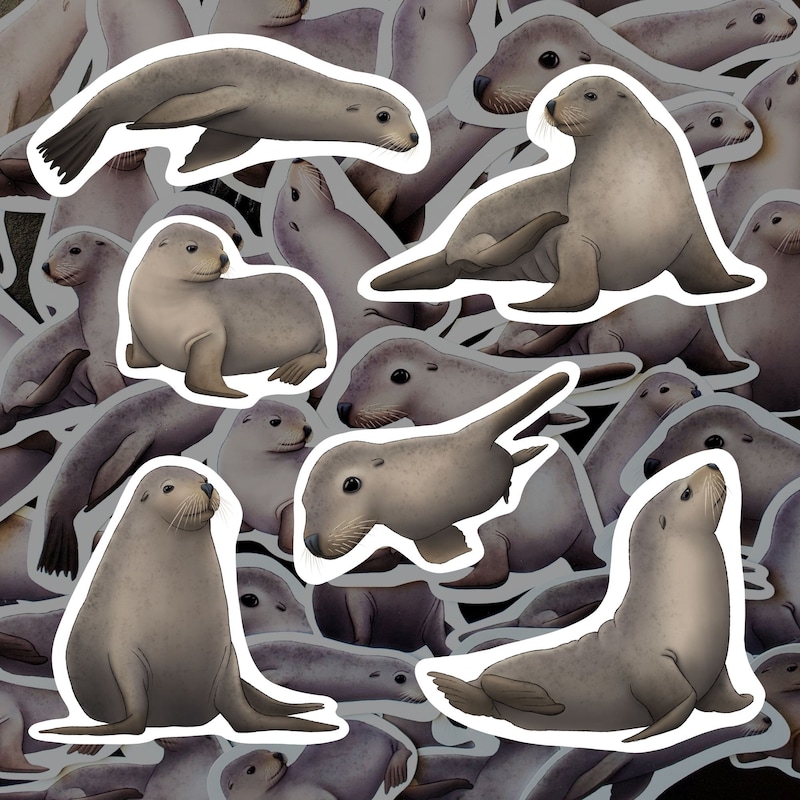 Sea Lion - Etsy
