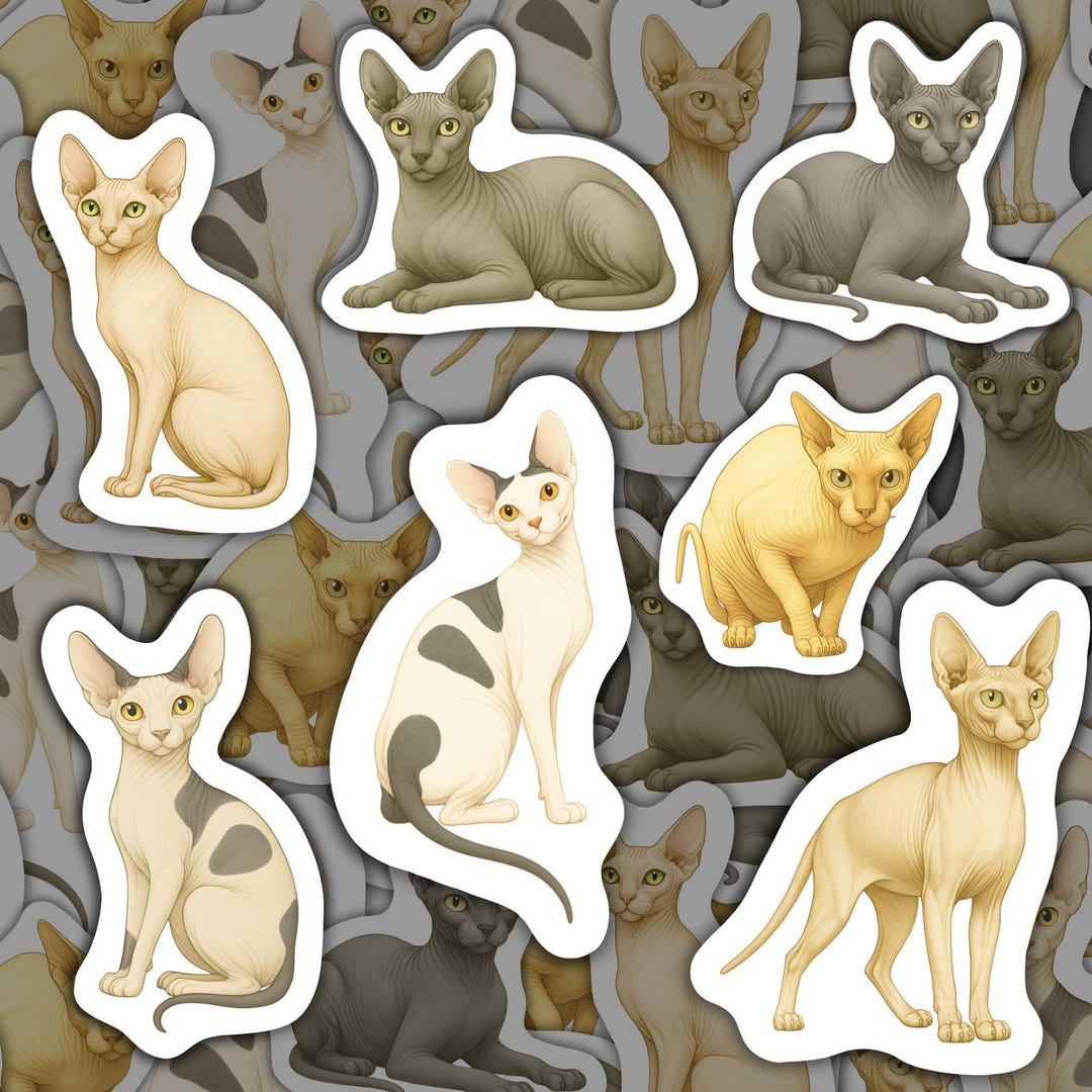 Sphynx Cat Stickers Vinyl Decals Waterproof Feline Stationery Gift for ...