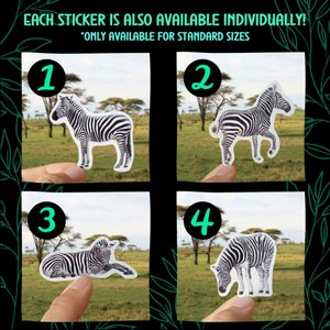 Zebra Sticker Pack Safari Animal Decals Waterproof Vinyl Zebra Lover ...