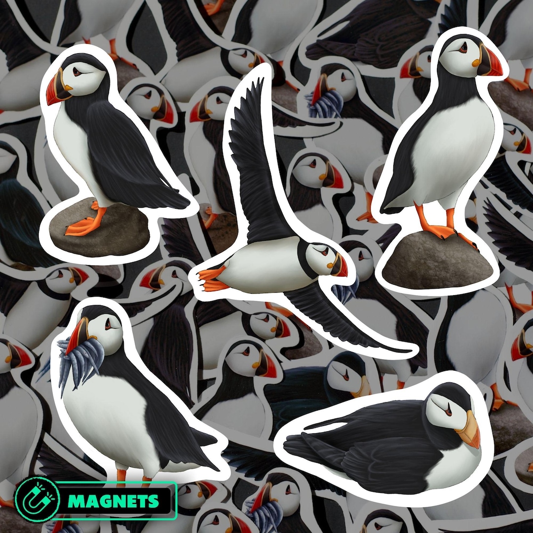 Puffin Magnet Set Waterproof Vinyl UK Bird Magnets for Fridge Coastal ...