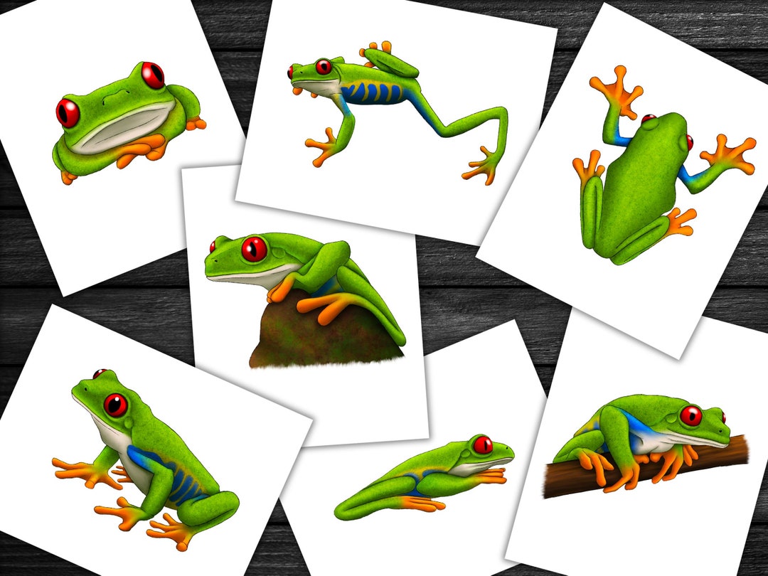 Red-eyed Tree Frog Art Prints Vivid Amphibian Wall Decor Tropical ...