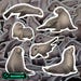 Yellow Mongoose Sticker Pack African Wildlife Decals Waterproof Vinyl ...