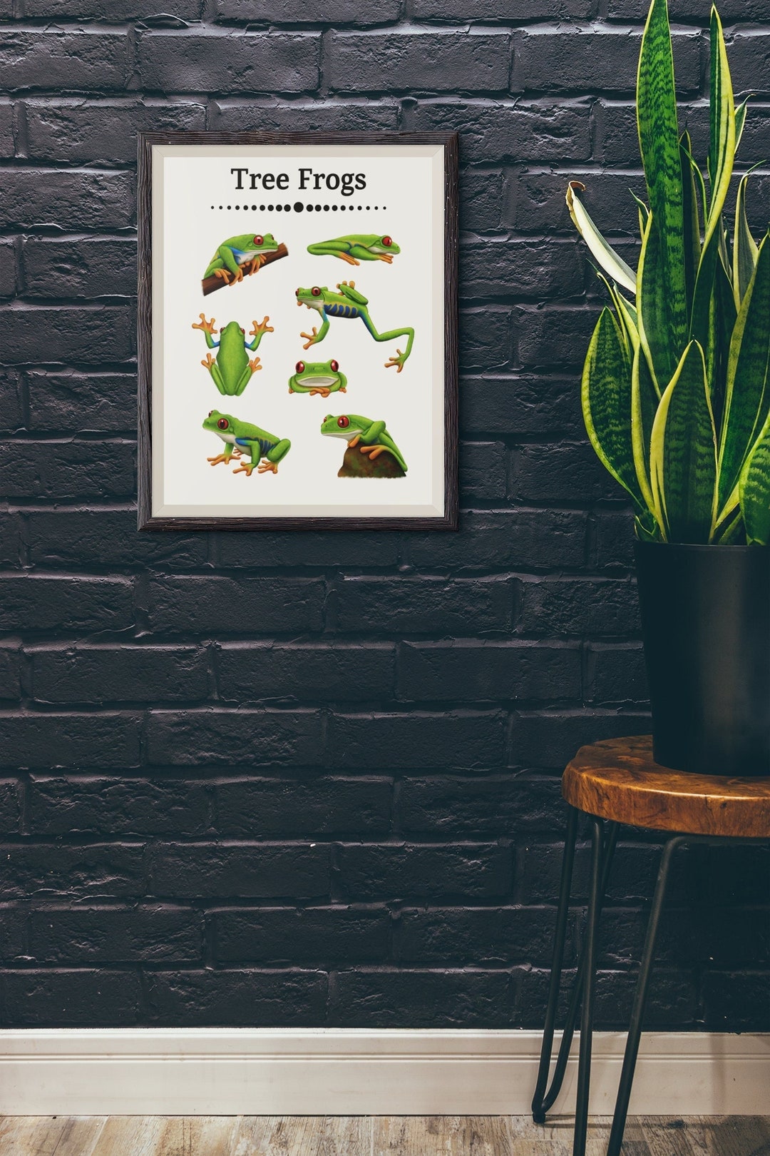 Tree Frog Art Print Red-eyed Amphibian Wall Decor Tropical Wildlife ...