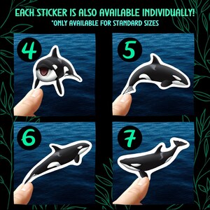 Orca Sticker Pack Killer Whale Vinyl Decal Marine Life Stationery Gift ...