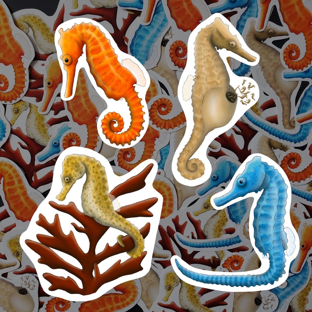 Seahorse Sticker Pack Marine Life Decals Waterproof Vinyl Seahorse ...