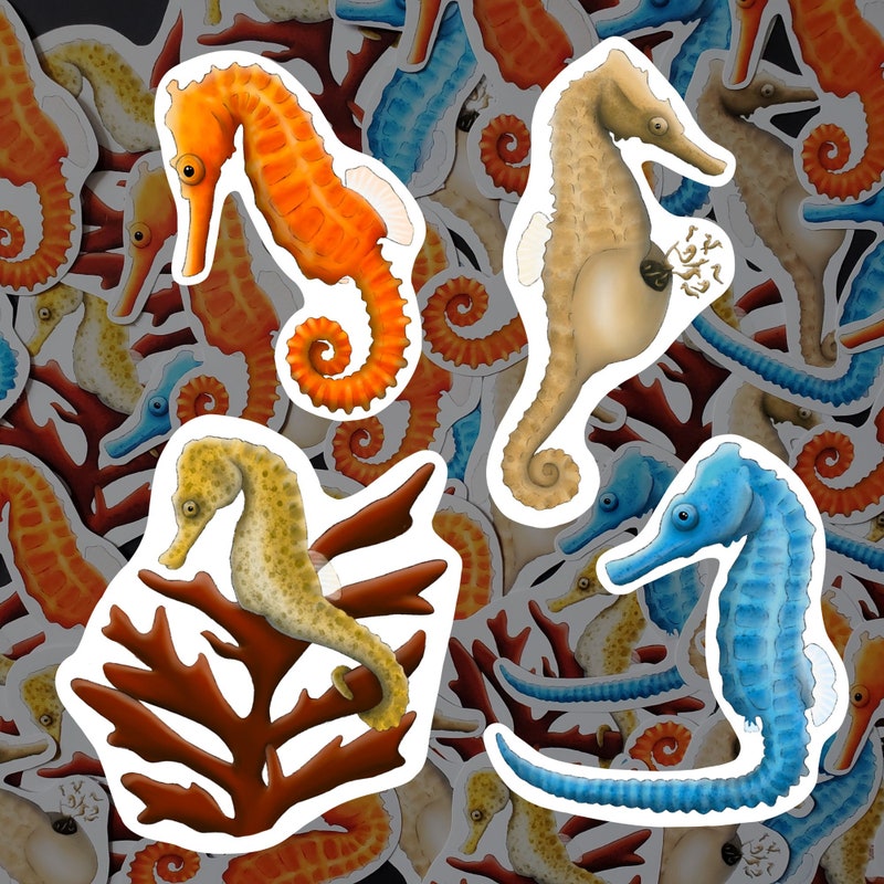 Marine Life Decal - Etsy