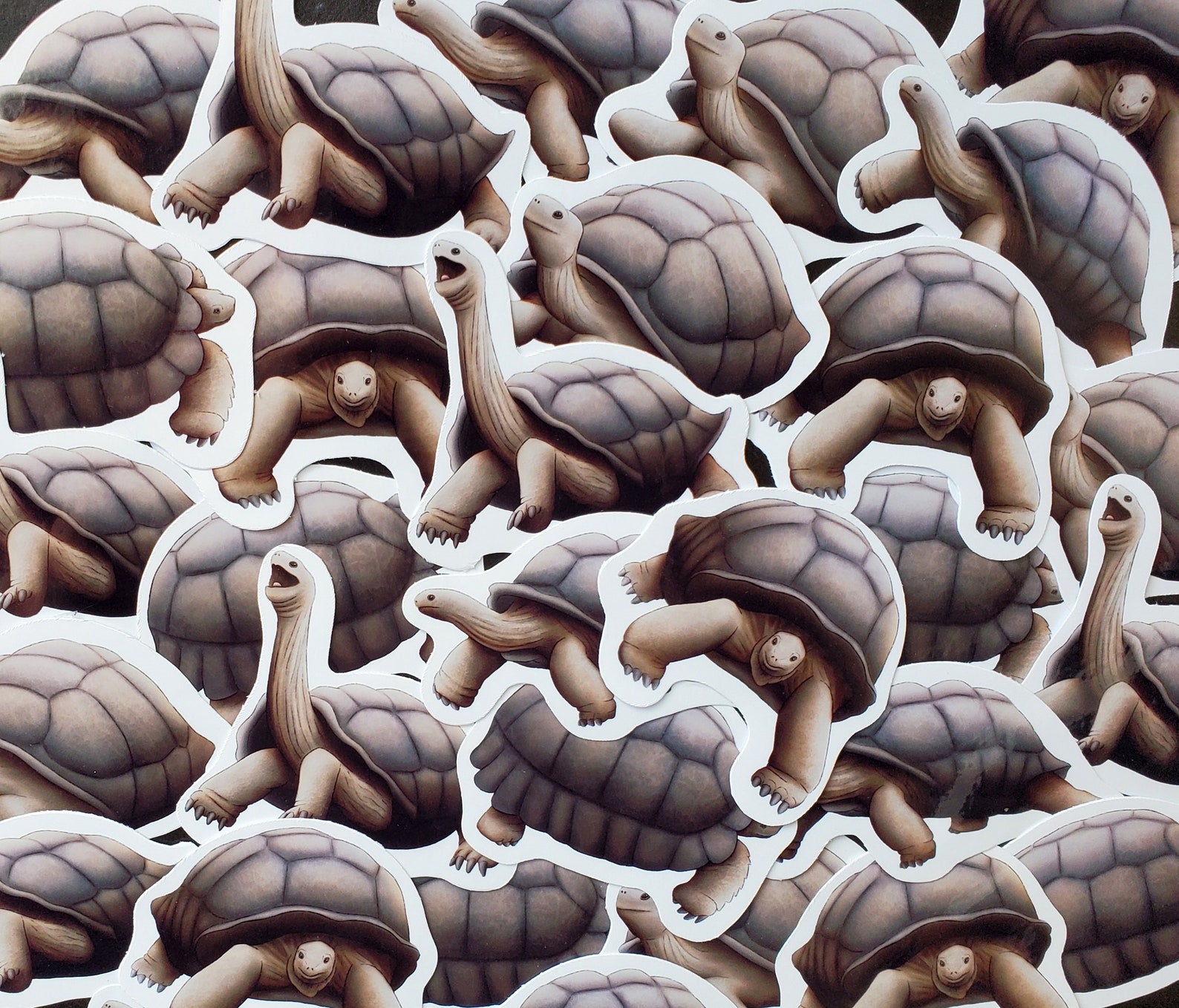 Giant Tortoise Sticker Pack Galapagos Tortoise Waterproof Vinyl Decal ...