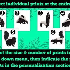 Skunk Art Prints Wildlife Wall Decor Black and White Animal ...