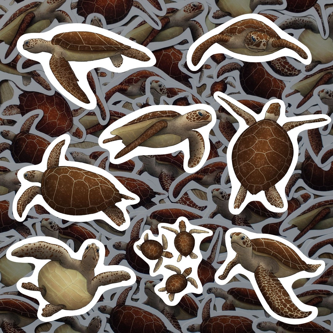 Sea Turtle Sticker Pack Ocean Creature Decals Vinyl Waterproof Marine ...