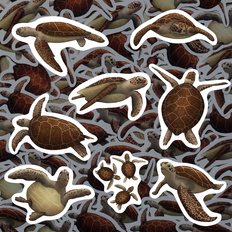 Sea Turtle Decal - Etsy