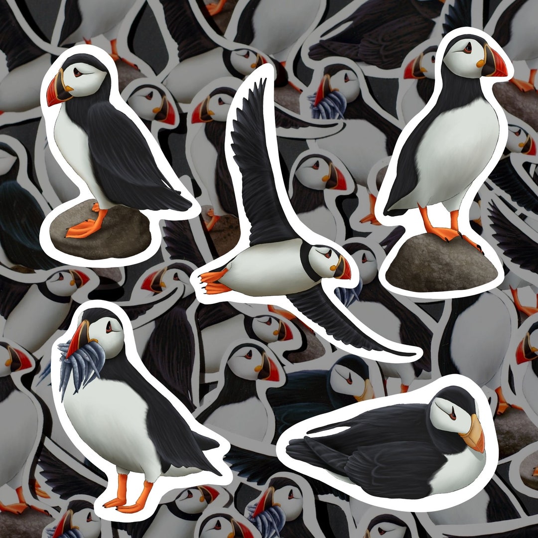 Puffin Sticker Pack UK Bird Decals Waterproof Vinyl Puffin Lover Gift ...