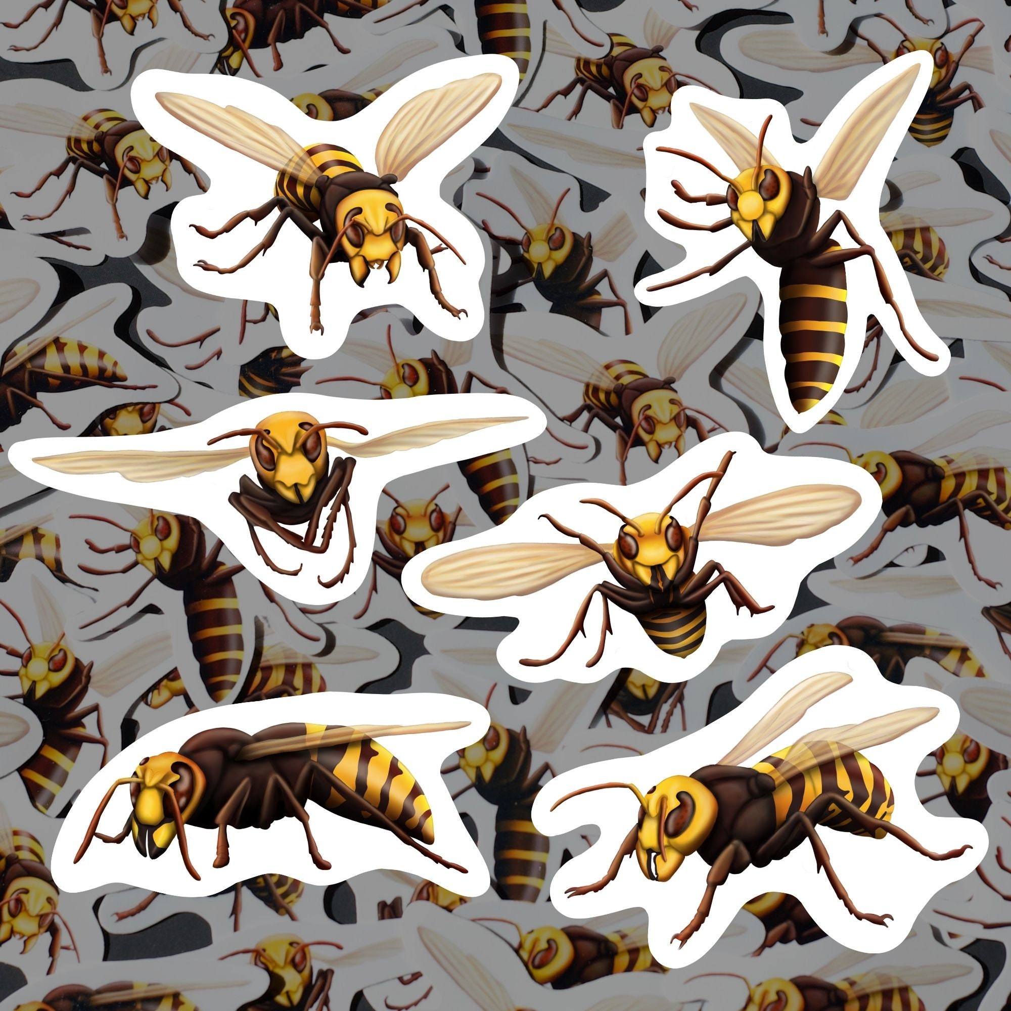 Hornet Sticker Pack Insect Vinyl Decal Entomology Stationery Gift for ...