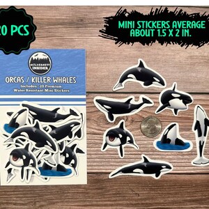 Orca Sticker Pack Killer Whale Vinyl Decal Marine Life Stationery Gift ...