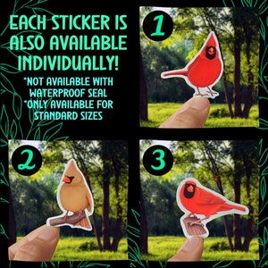 Cardinal Sticker Set Red Bird Decals Birdwatcher Gift Waterproof Vinyl ...