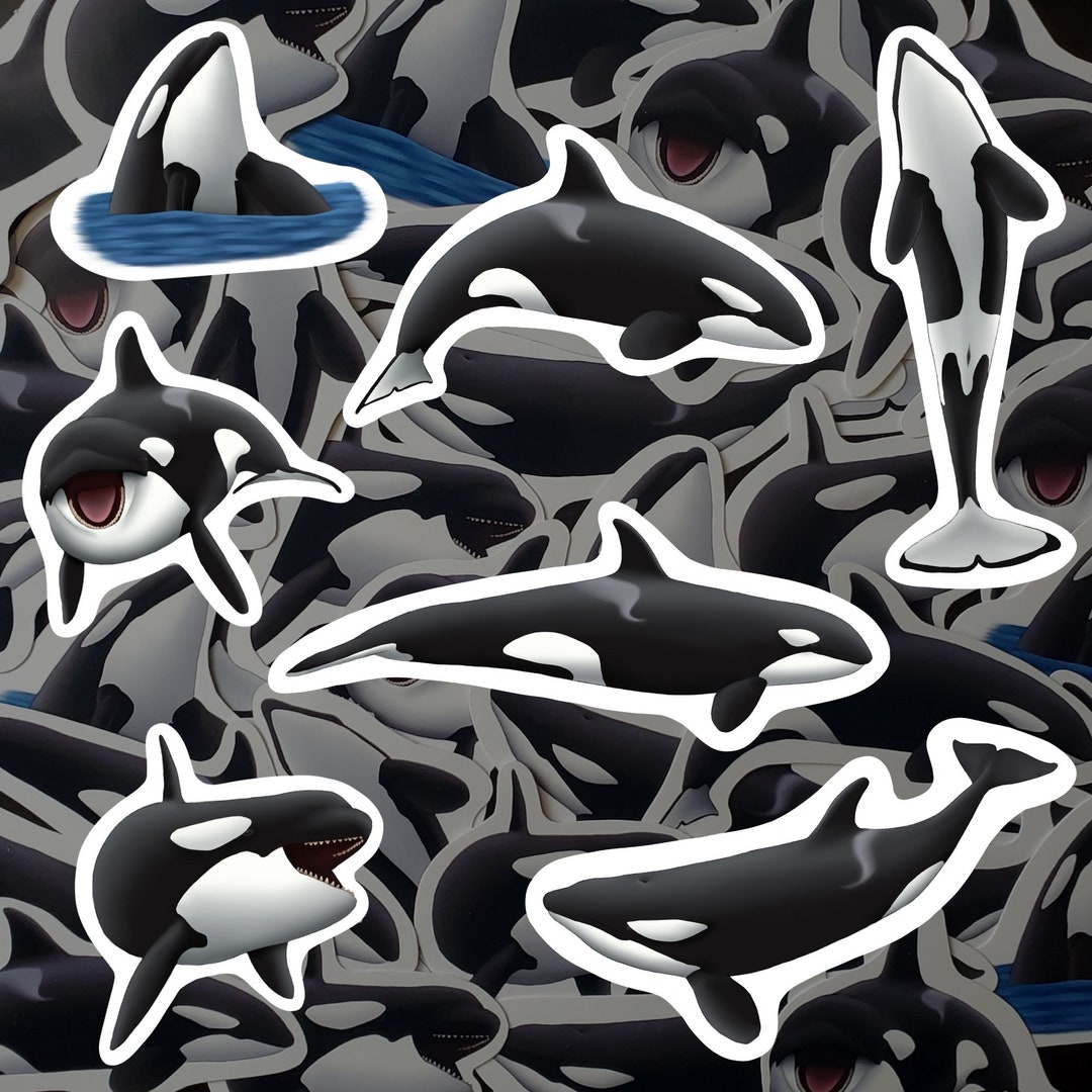 Orca Sticker Pack Killer Whale Vinyl Decal Marine Life Stationery Gift ...