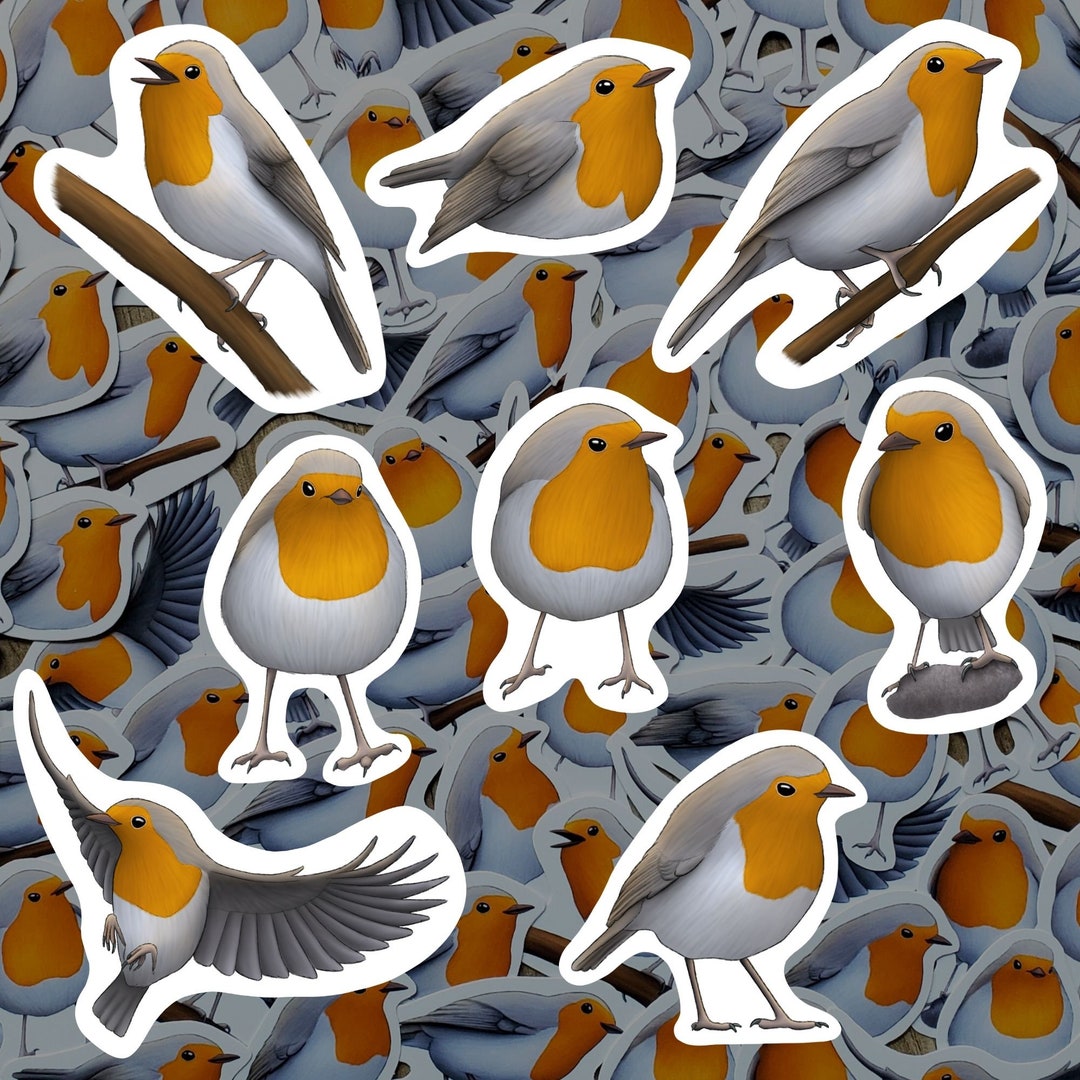 European Robin Sticker Pack Red Breasted Bird Decals Birdwatcher Vinyl ...