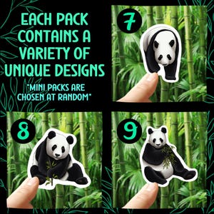 Giant Panda Sticker Pack Bear Decals Endangered Species Vinyl Stickers ...