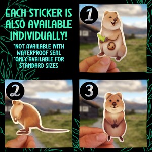 Quokka Sticker Pack Smiling Quokka Vinyl Decals Australian - Etsy