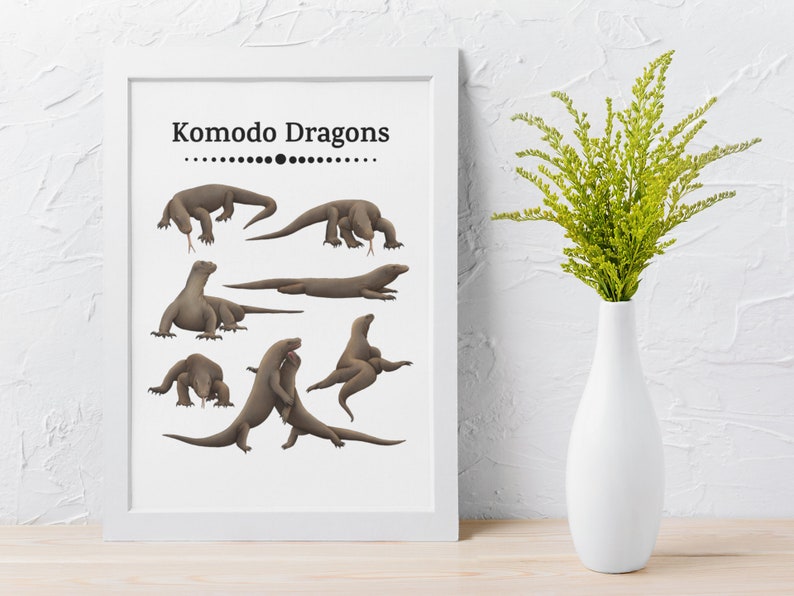 Komodo Dragon Print / Komodo Poster / Lizard Wall Art / Komodo - Etsy