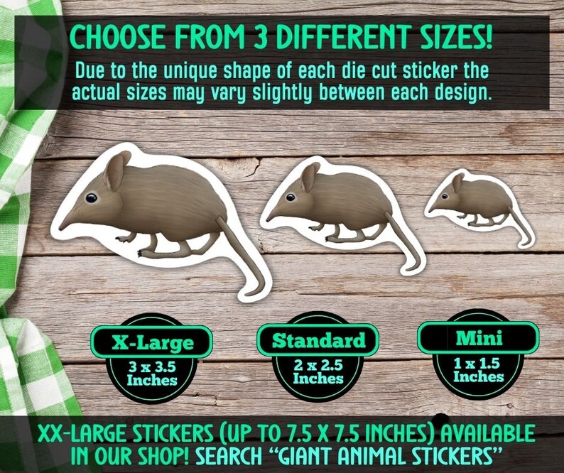 Elephant Shrew Sticker Pack African Wildlife Decals Waterproof Vinyl ...