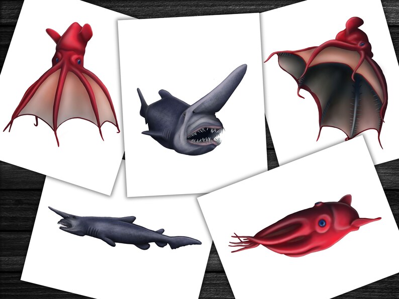 Goblin Shark Art Prints Set Deep Sea Creature Wall Decor Marine Life ...