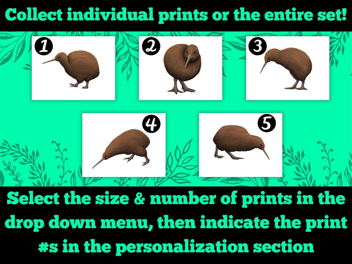 Kiwi Print Set Brown Kiwi Bird Wall Art New Zealand Wildlife Decor ...
