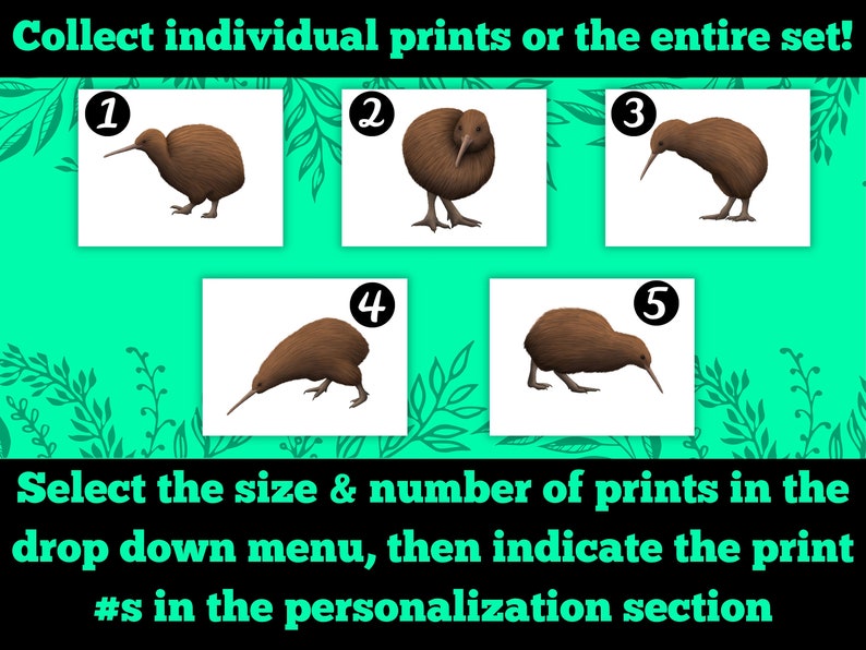 Kiwi Print Set Brown Kiwi Bird Wall Art New Zealand Wildlife Decor ...