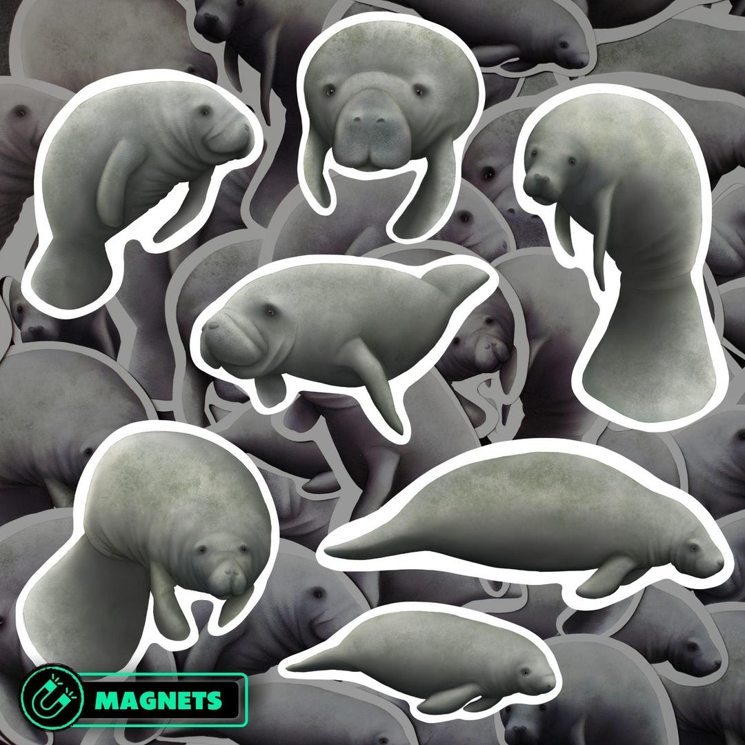 Manatee Magnet Set Waterproof Vinyl Marine Animal Magnets for ...