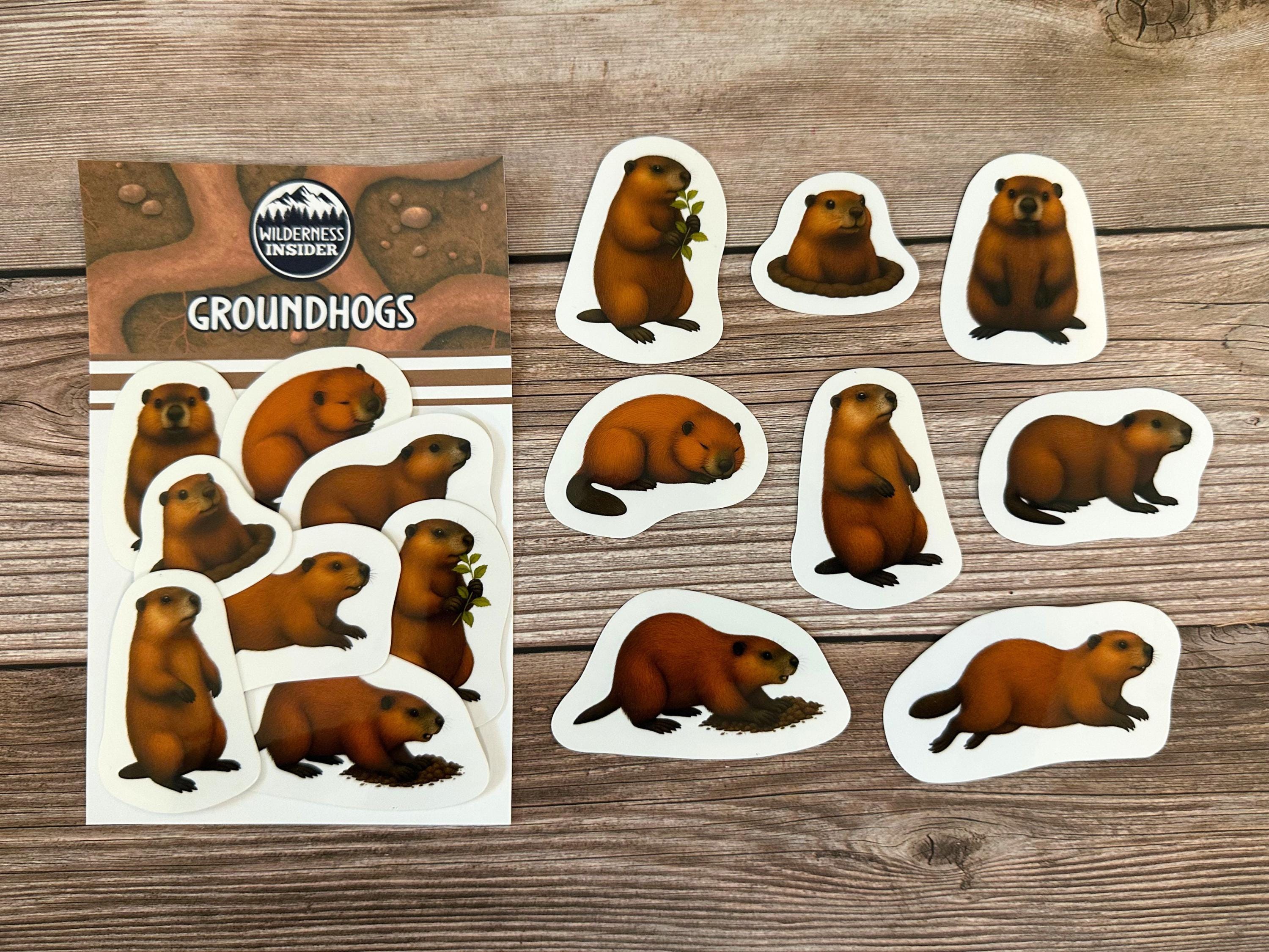 Groundhog Stickers Vinyl Decals Waterproof Wildlife Stationery Gift for ...