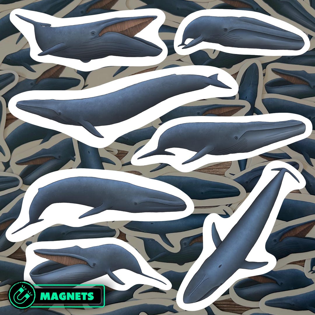 Blue Whale Magnet Set Sea Creature Waterproof Decals Oceanic Kitchen ...