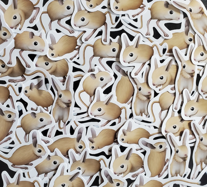 Jerboa Sticker Pack Desert Wildlife Decals Exotic Rodent Stickers Cute ...