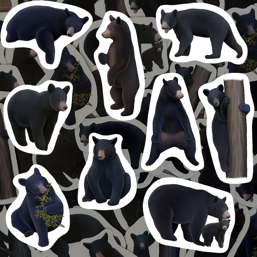 Black Bear Sticker Pack Forest Wildlife Vinyl Decal Woodland Animal ...