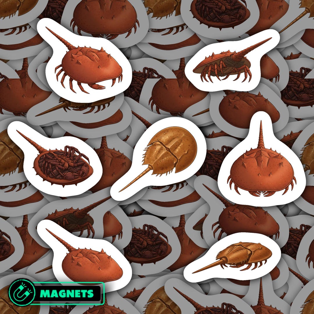 Horseshoe Crab Magnets Waterproof Vinyl Coastal Kitchen Decor Sea ...