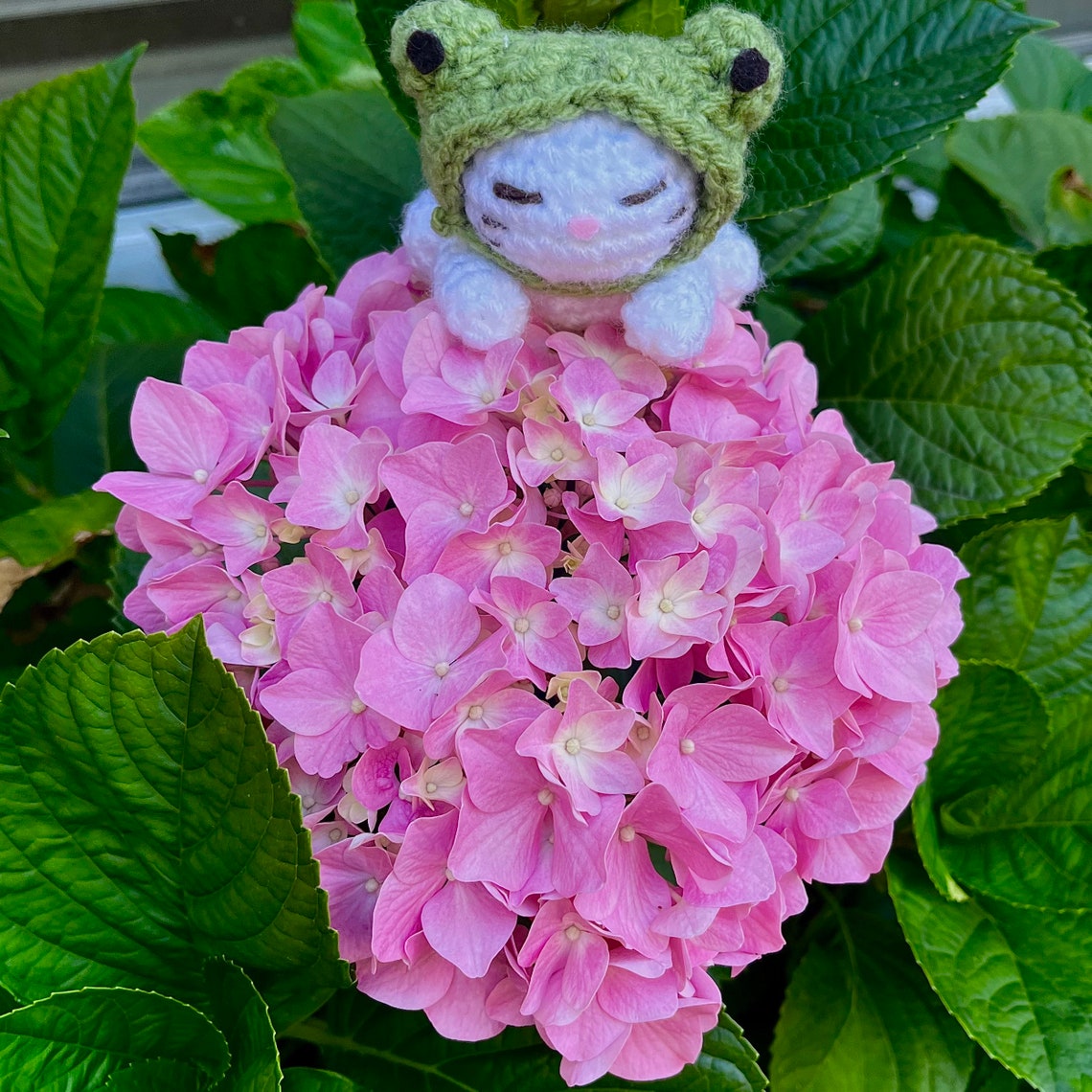 Cat in Frog Costume Crochet Pattern - Etsy