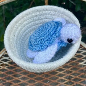 Macaron Turtle Crochet Pattern - Etsy