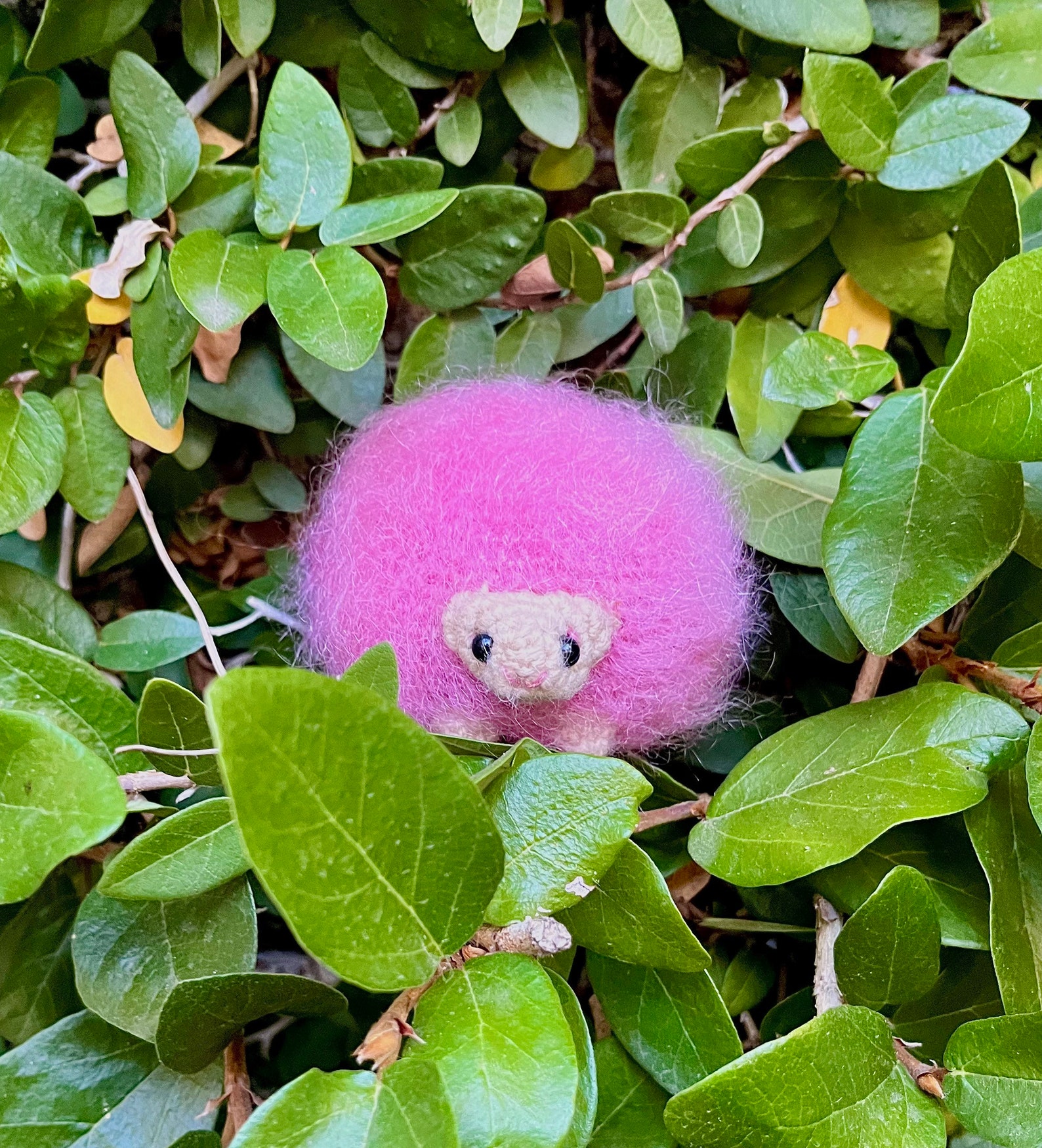 Pygmy Puff Crochet Pattern - Etsy