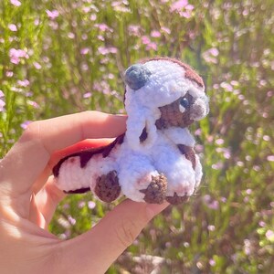 Baby Appa Crochet Pattern - Etsy