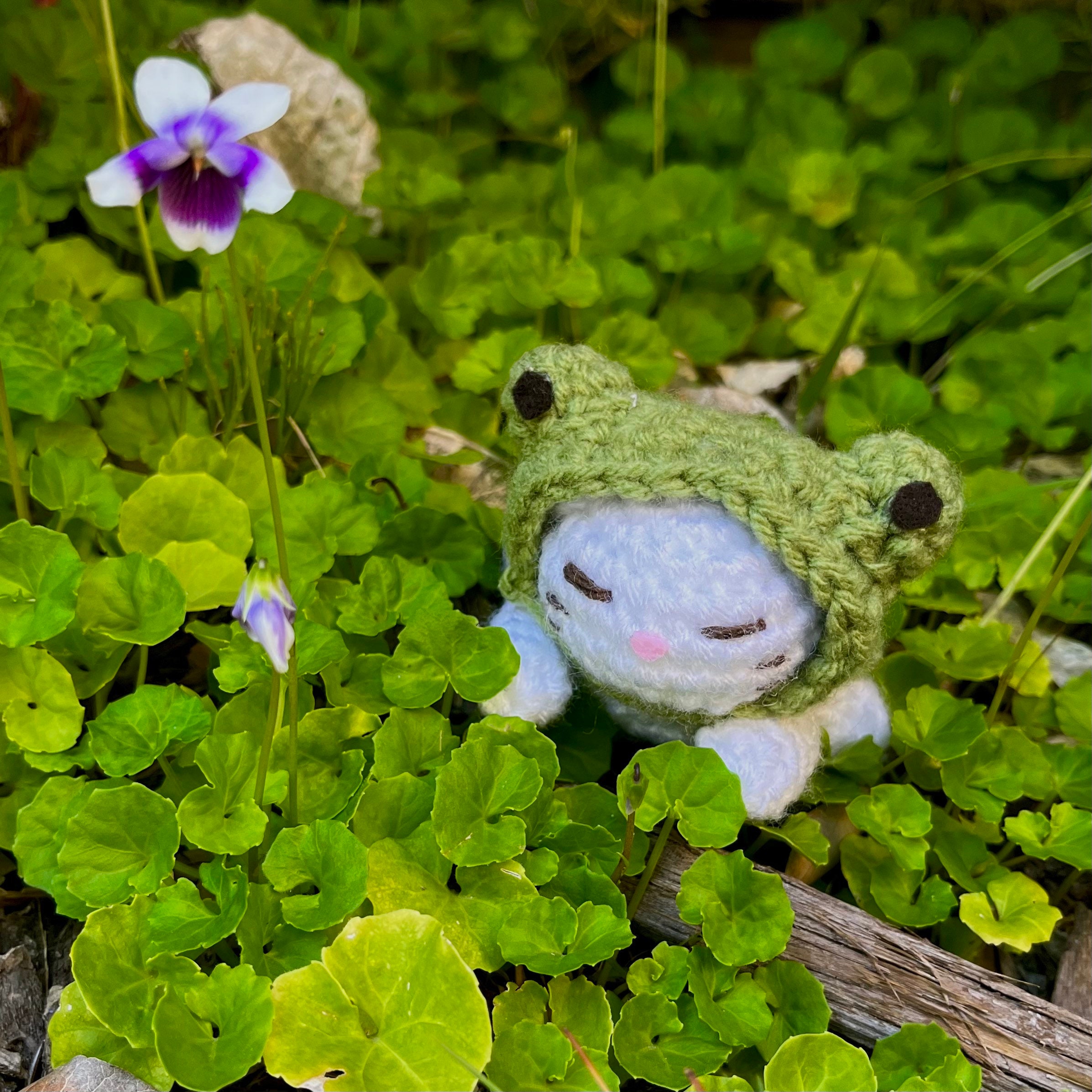 Cat in Frog Costume Crochet Pattern - Etsy