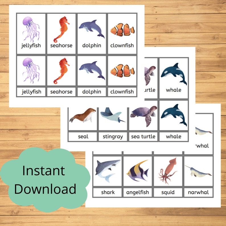 Ocean 3 Part Cards // Sea Life // Preschool // Kindergarten - Etsy