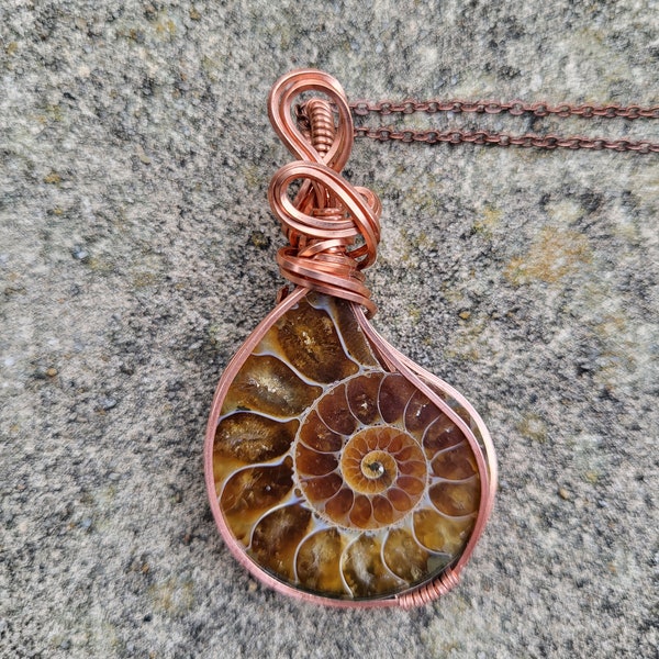 Ammonite Pendant - Etsy