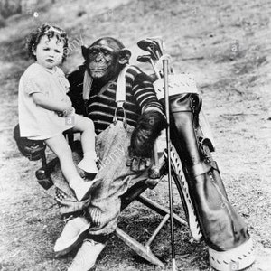 OURGANG Patsy Barry Was One Incarnation of baby Patsy in the Our Gang ...