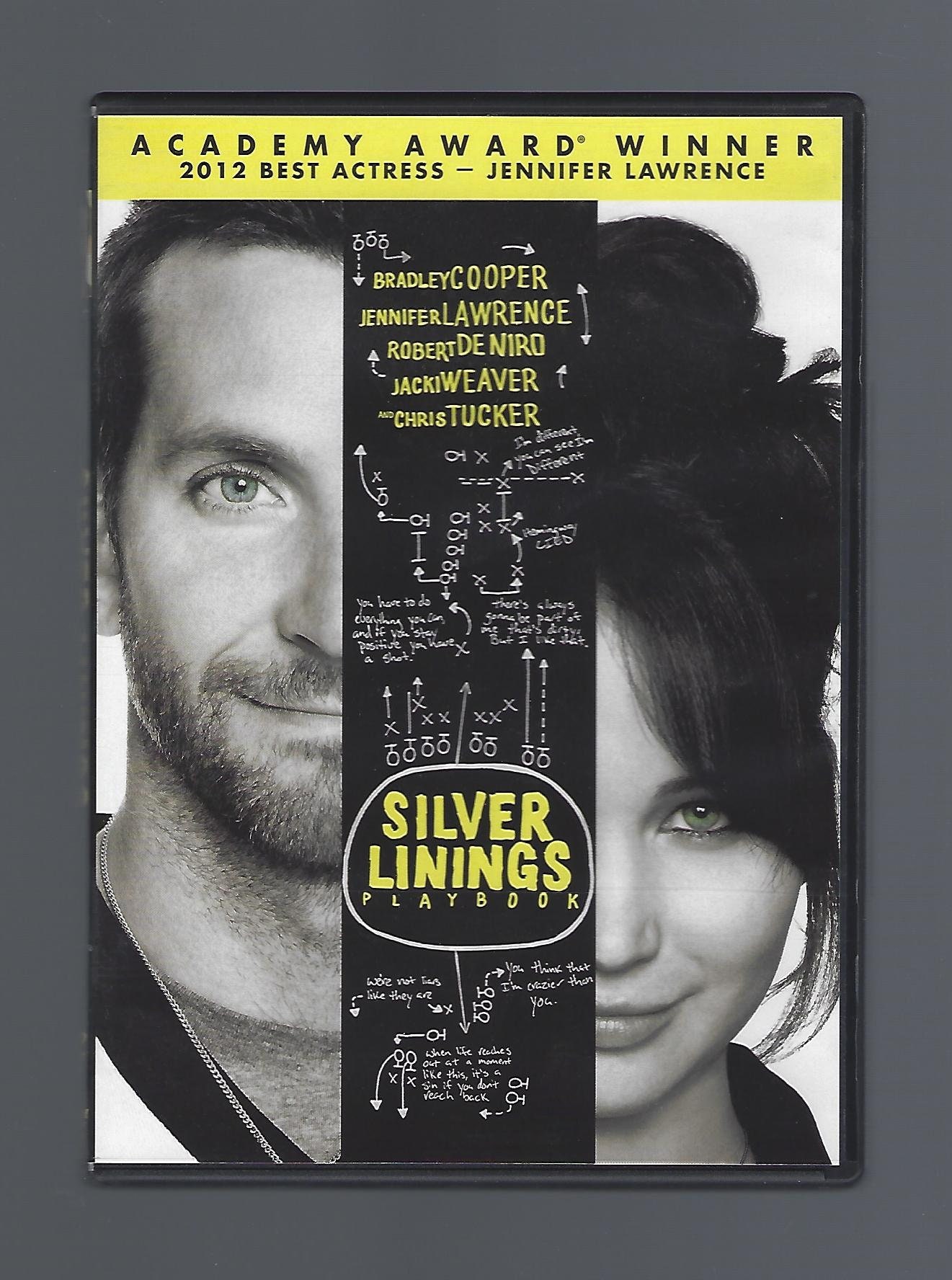 Silver Linings Playbook Dvd Cover