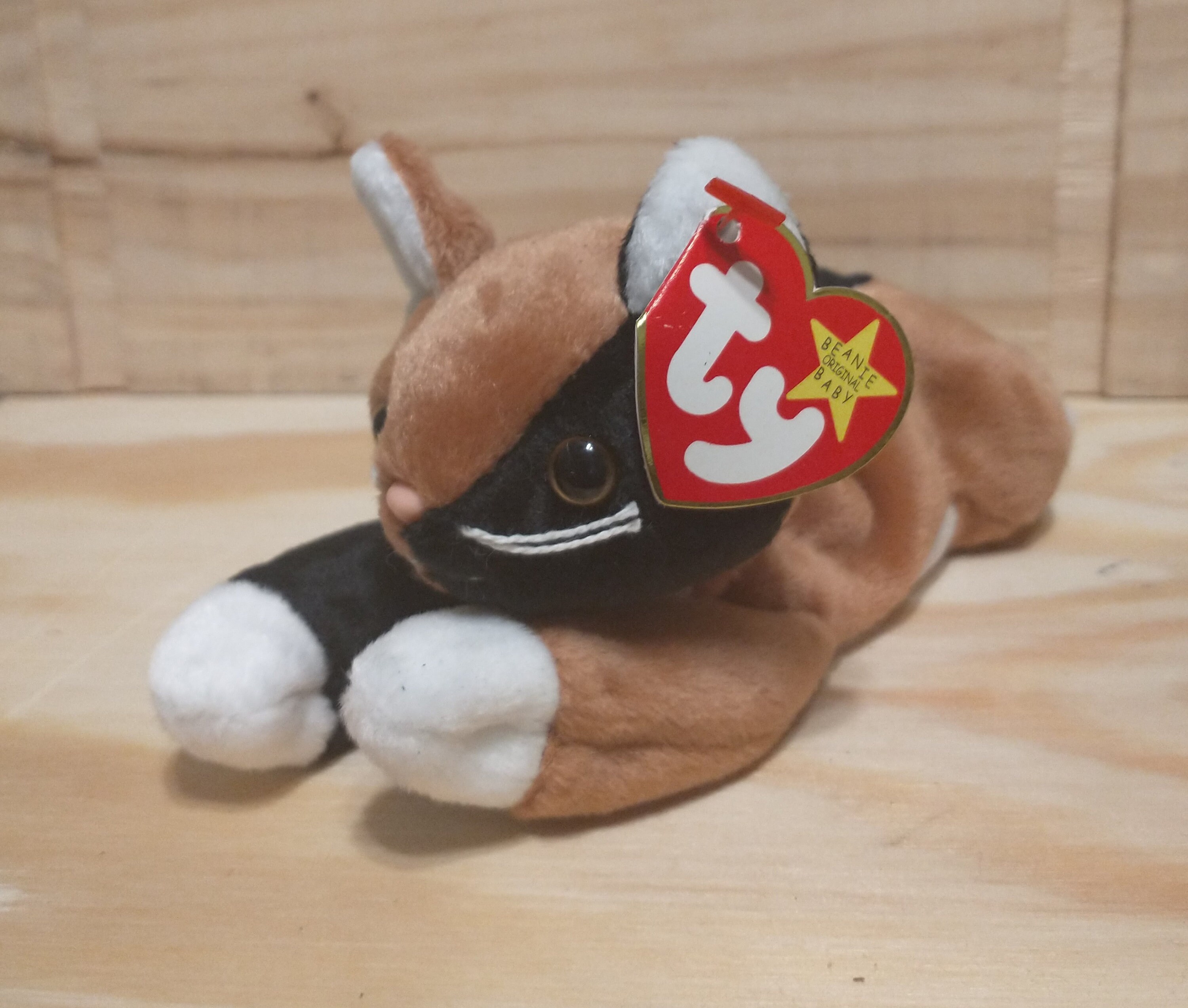 TY Beanie Baby Cats 7 Different to Choose From All in Good Condition - Etsy