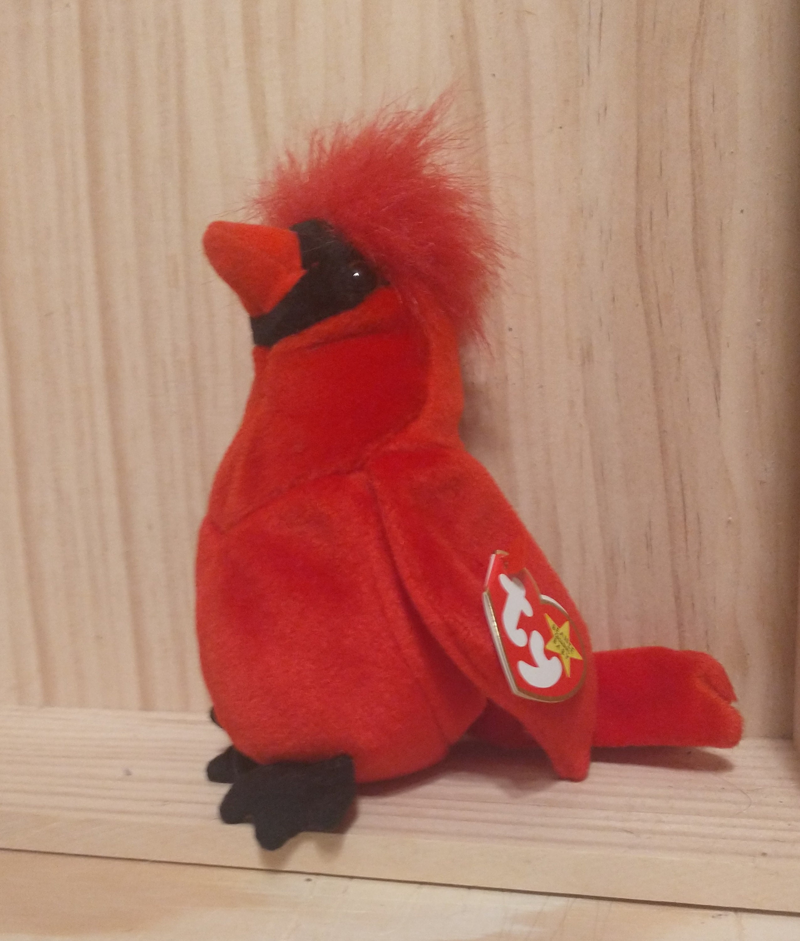 TY Beanie Baby Birds 8 Different to Choose From All in Good Condition ...