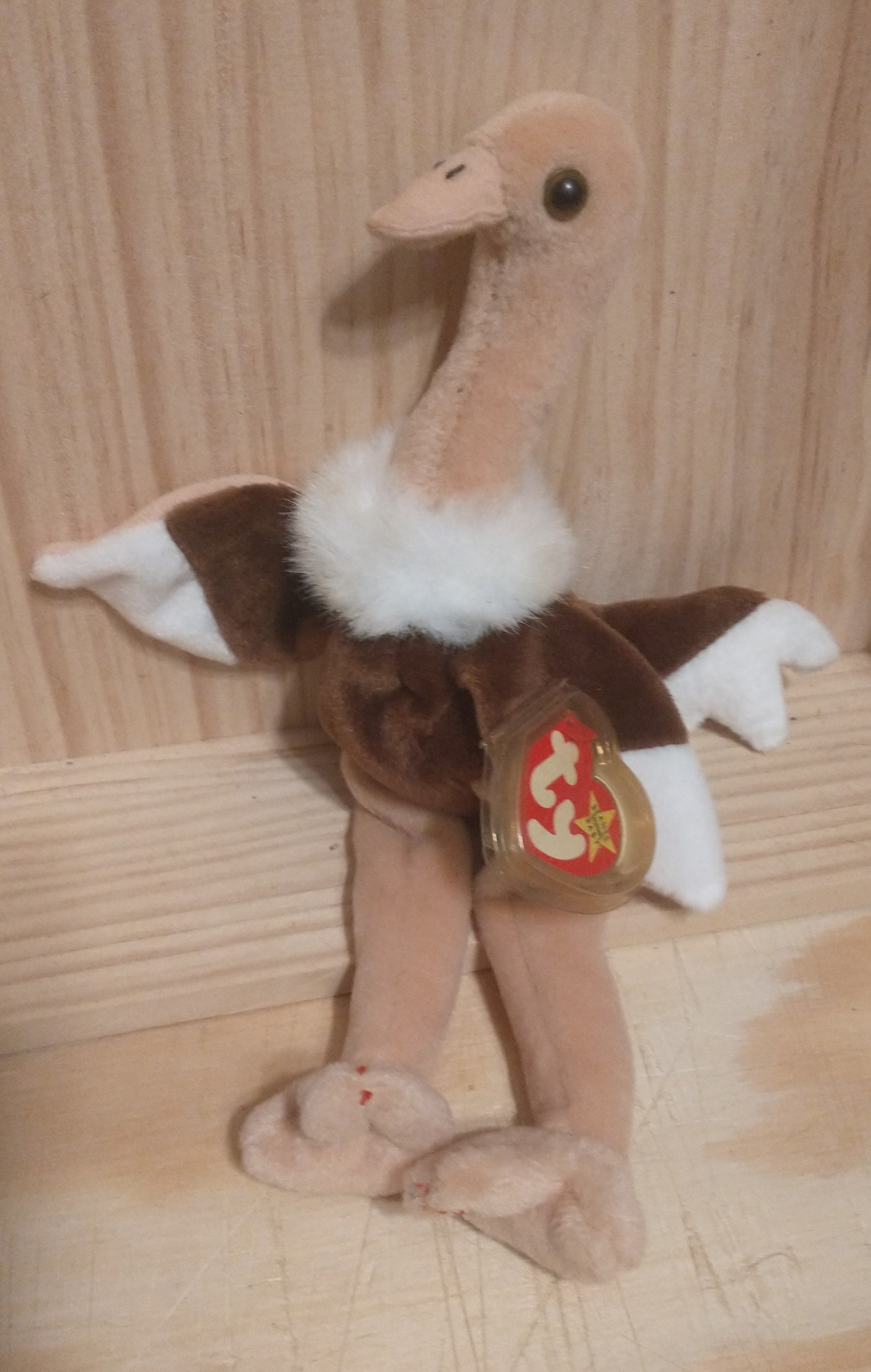 TY Beanie Baby Birds 8 Different to Choose From All in Good Condition ...