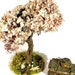 Detailed Wargaming Tree Trees for Games in the 15 Mm, 28mm/32mm Scale ...